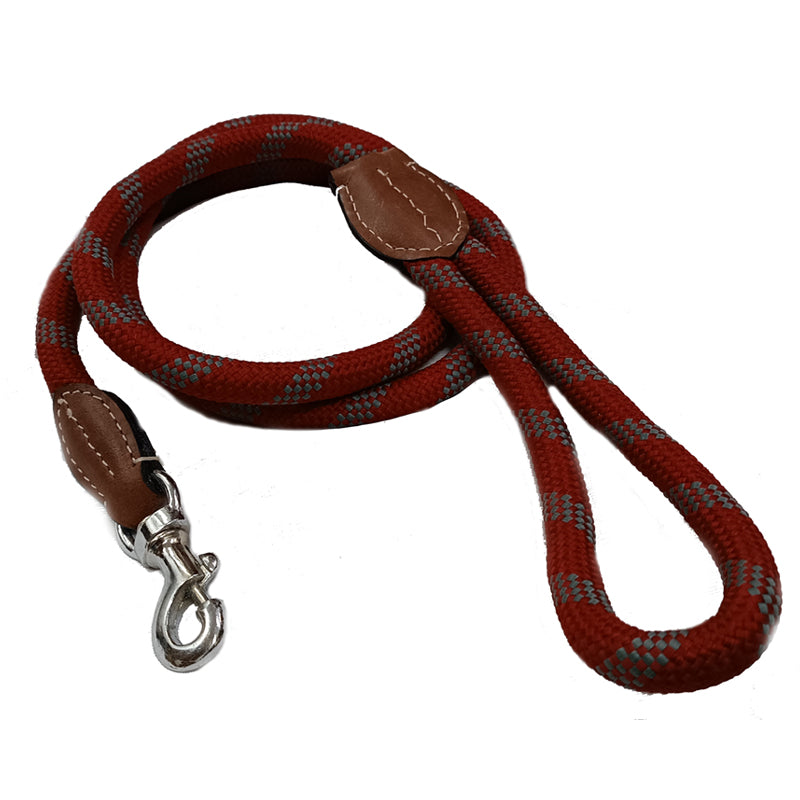 Furry Friend Nylon Rope Dog Leash 5 Feet for Medium & Large Dogs — CITY PET