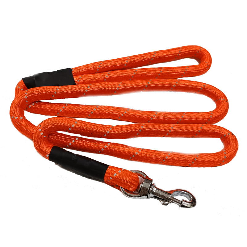 Furry Friend 58 Inch Shiny Nylon Rope Dog Leash – Neon Green ...
